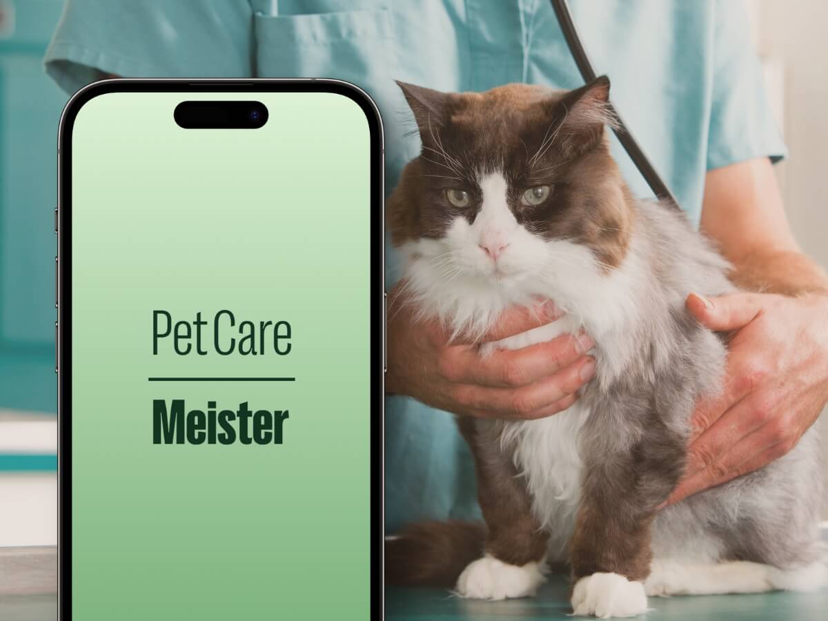Pet Care Meister App | SmartRef Digital Refractometer | Anton Paar ...